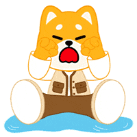 Stylo in requirement