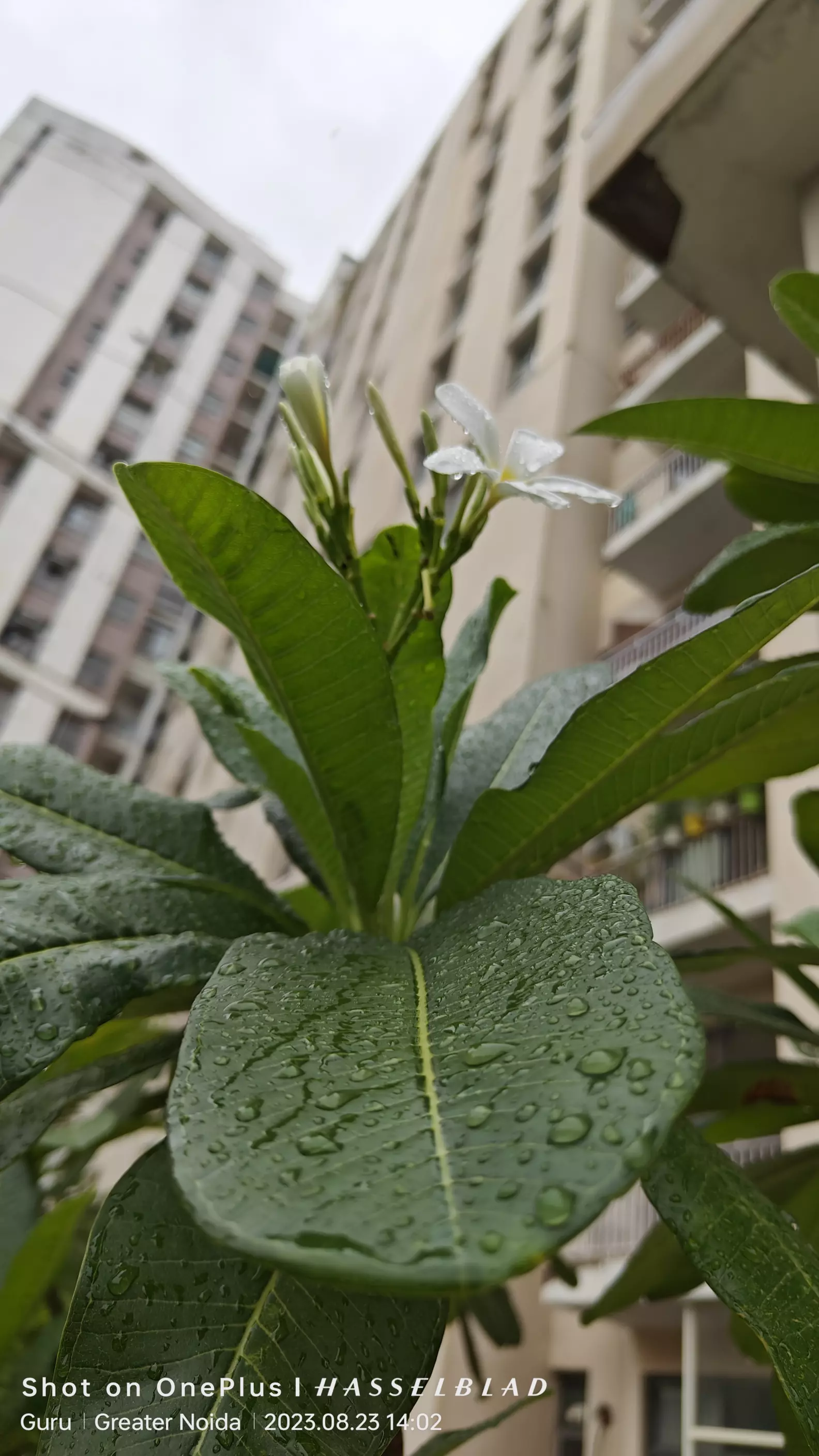 Unitech horizon