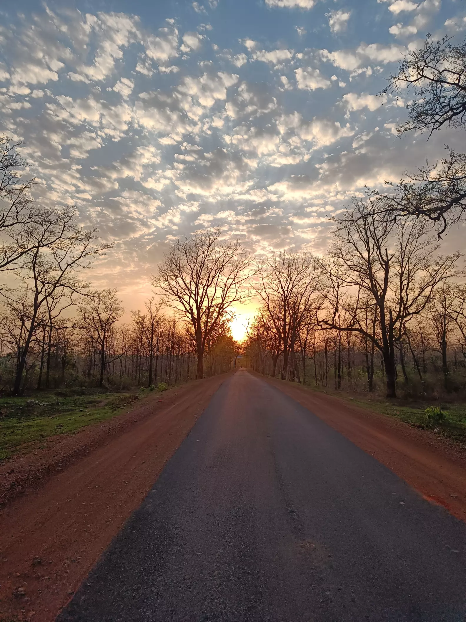 Shot on OnePlus Nord 2T
