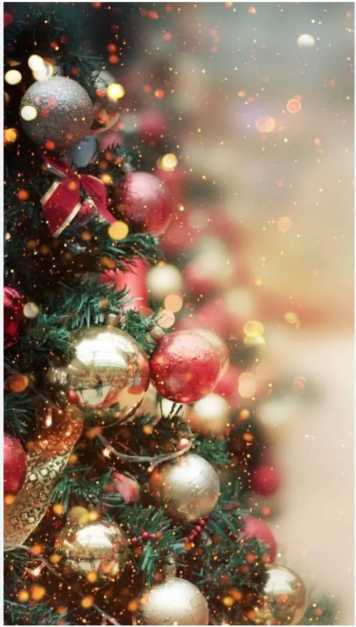 When should people put up their Christmas decorations??