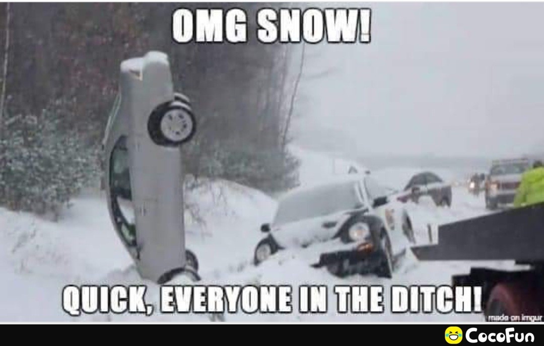 First Snow Memes First Snow Of The Year Meme | TikTok