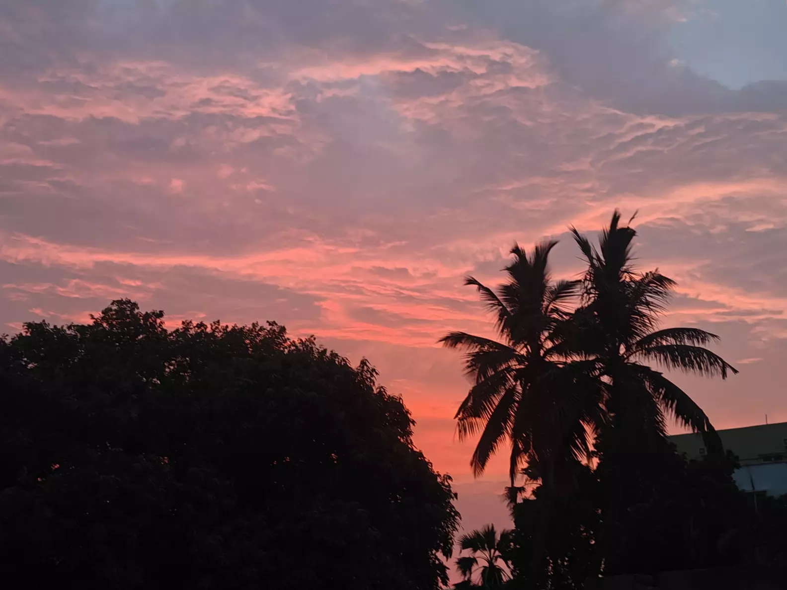 I would love to enjoy this sunset with you 💞