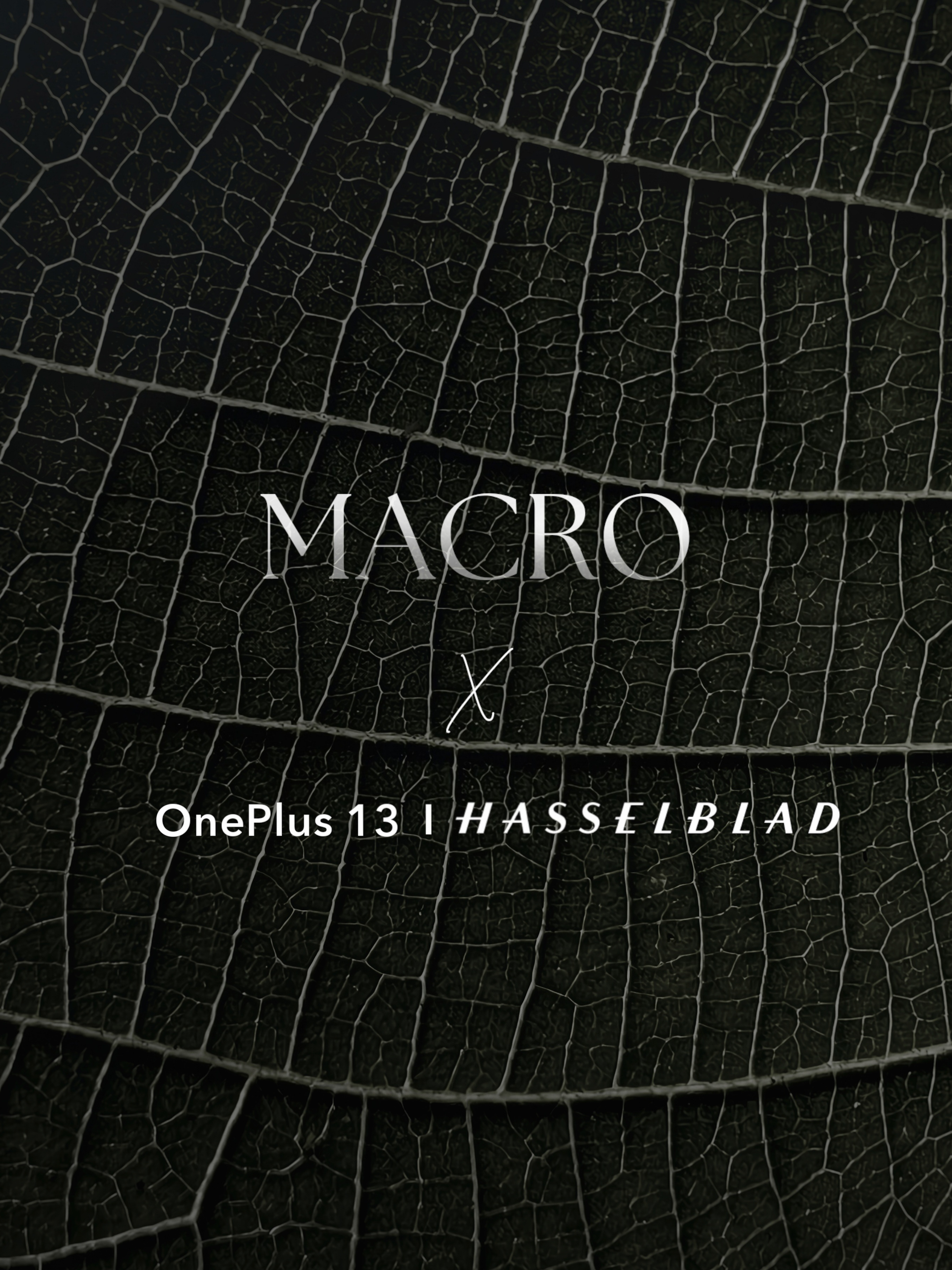 Unlock The Tiny World With Your OnePlus 13's Macro Mode