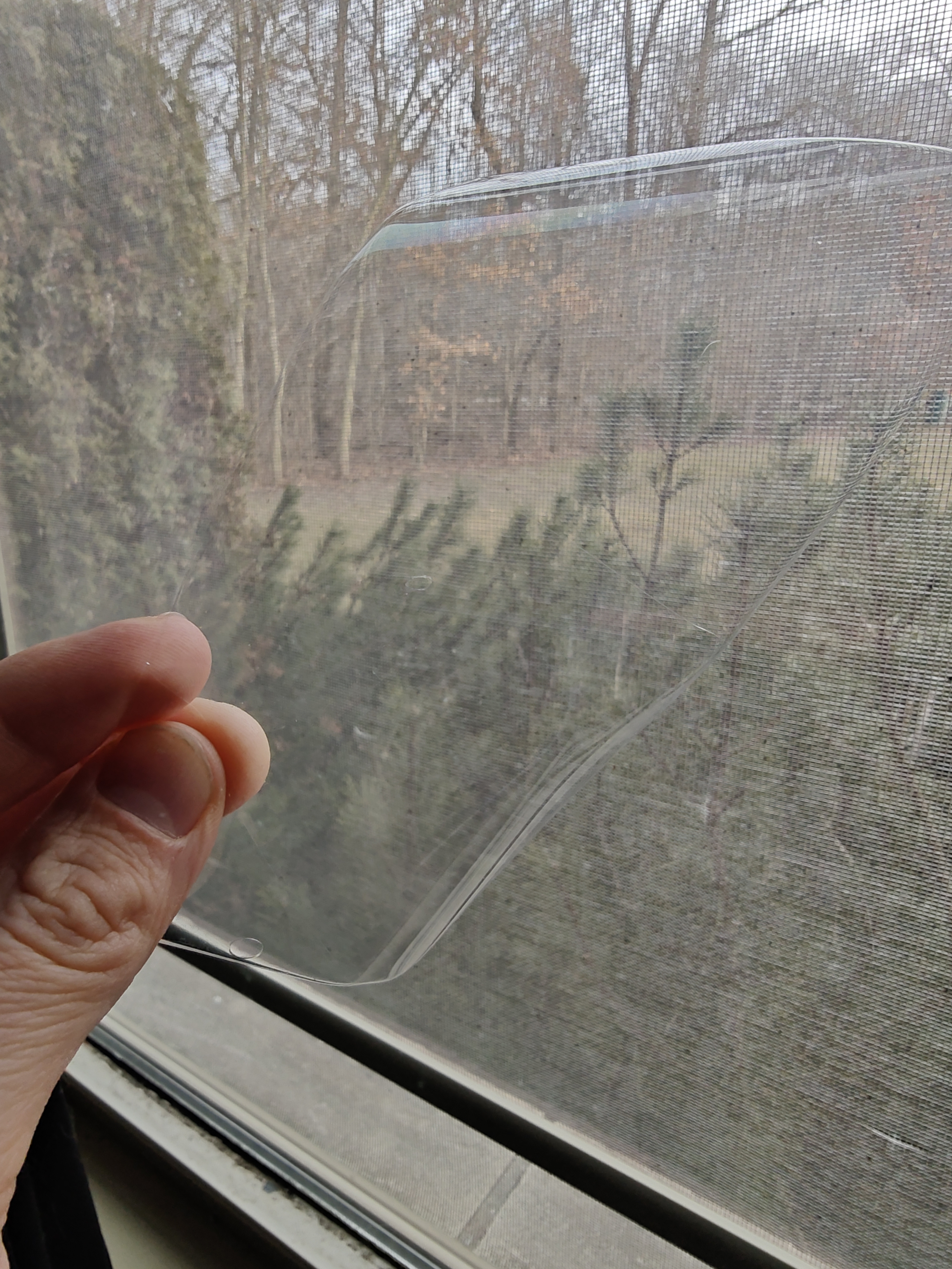 What's the best screen protector so far?