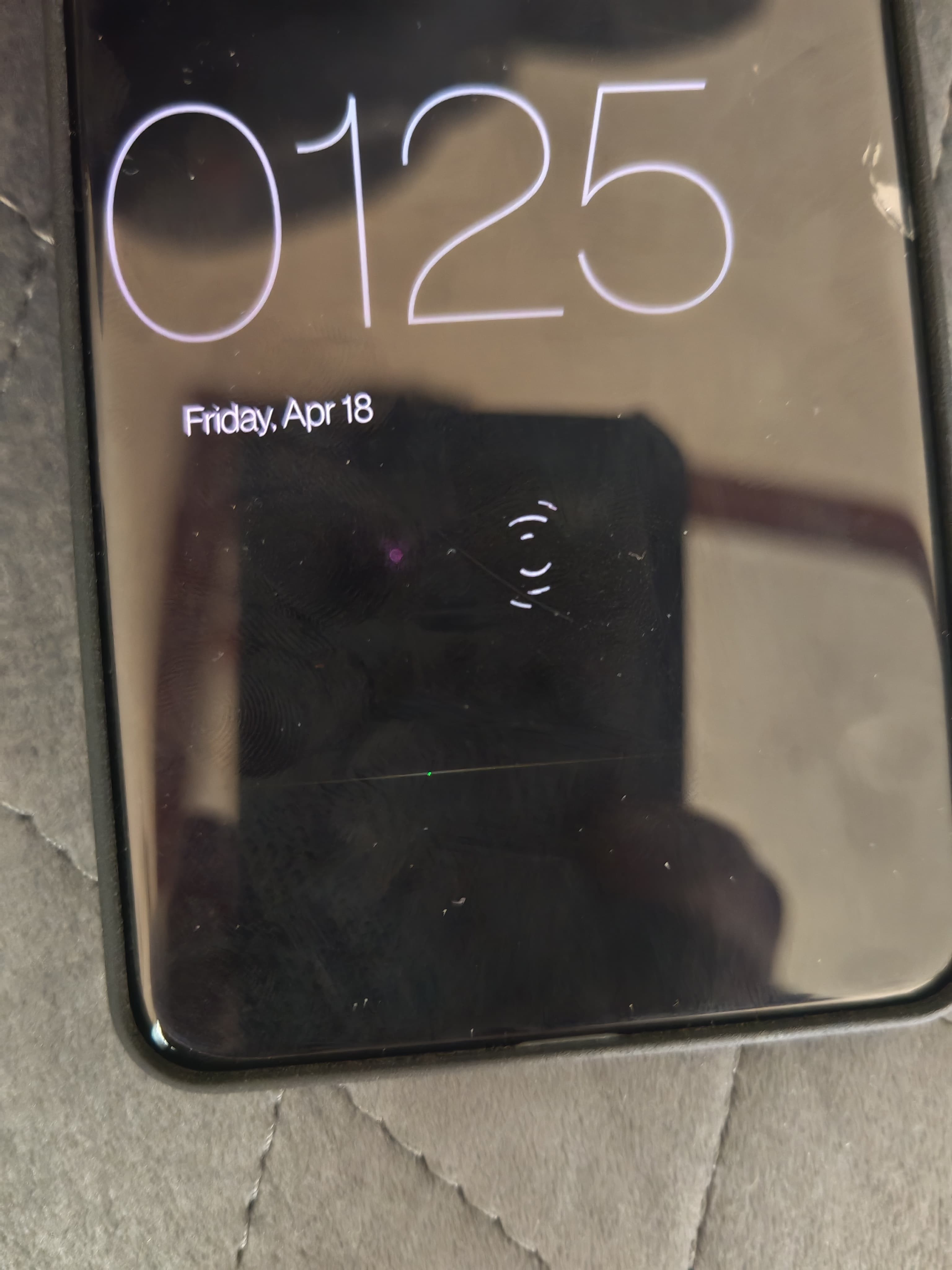 Oneplus 13 First Green Line Spotted