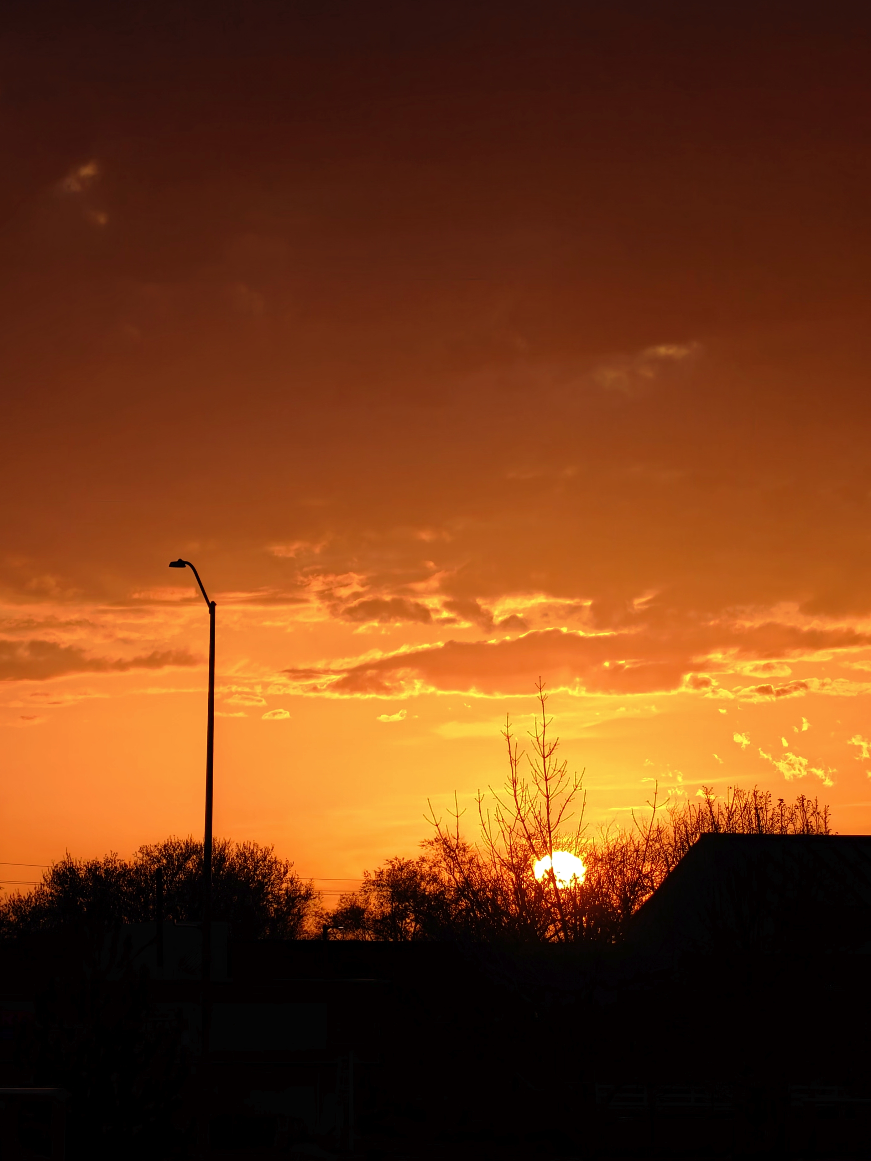 Photos I captured in a grocery store OnePlus 13 📸@Dina D.