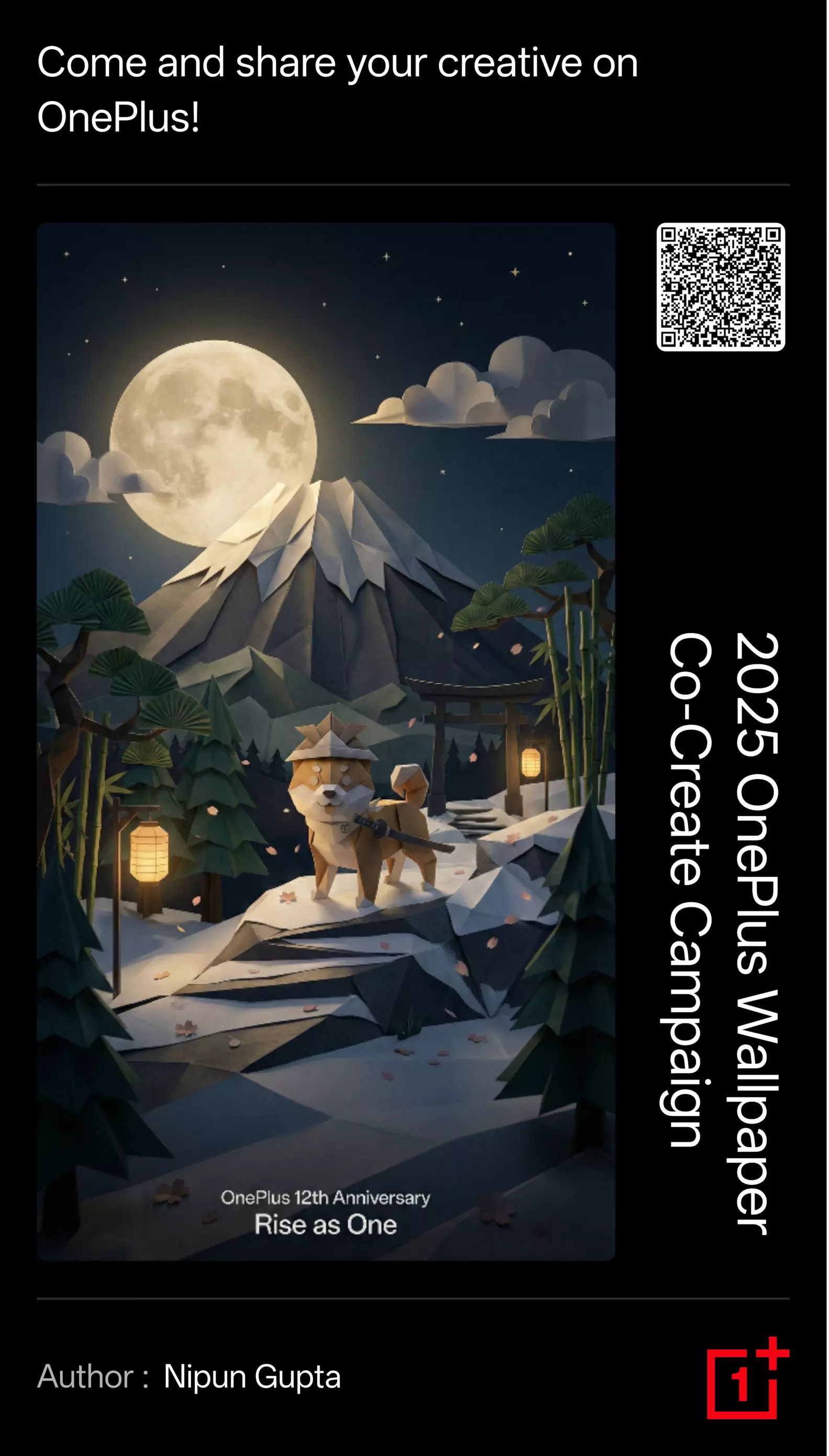 Rising Together: My Submission for the OnePlus "Rise as One" Co ...