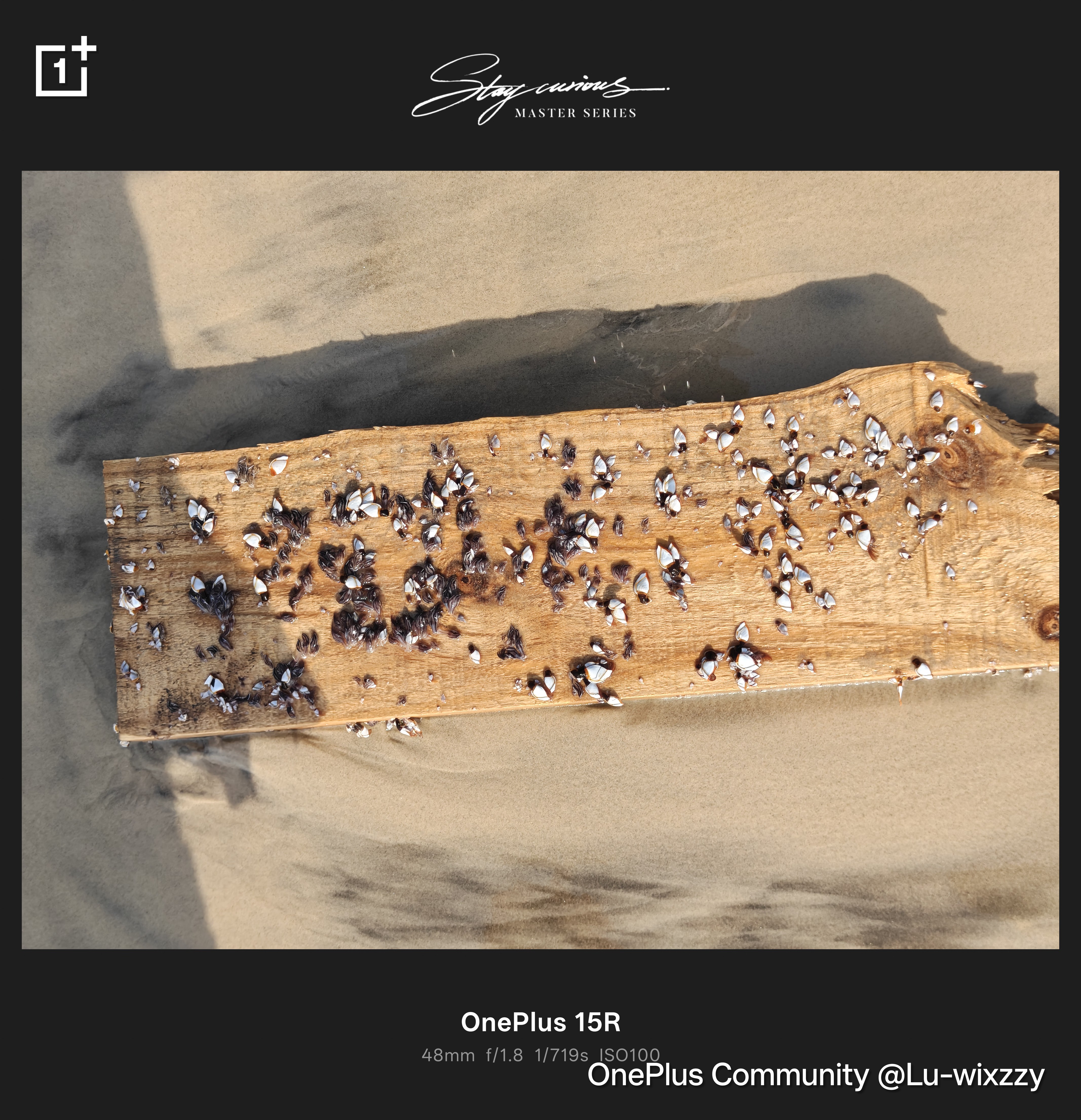 Hello amazing people.This week, I took the OnePlus 15R with