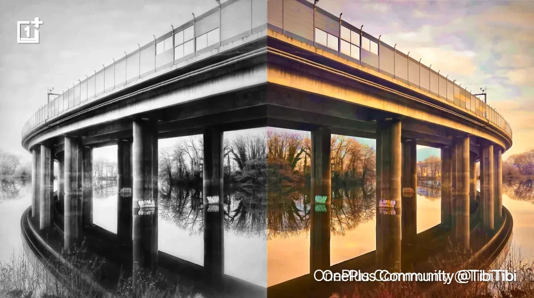 [2026] 🖼️ Photo MegaThread