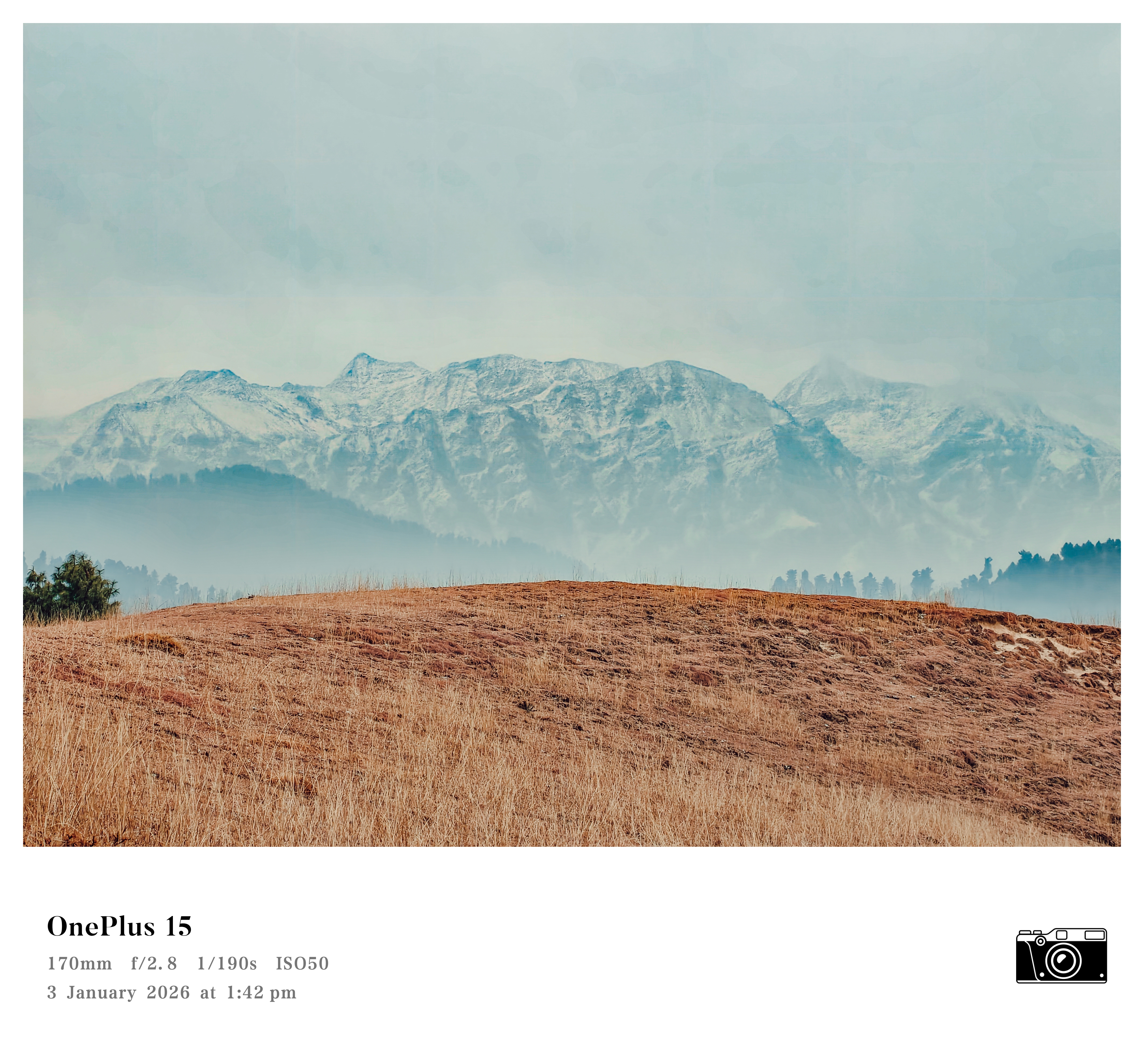 Wandering through the silent hills dry meadows, pine forests