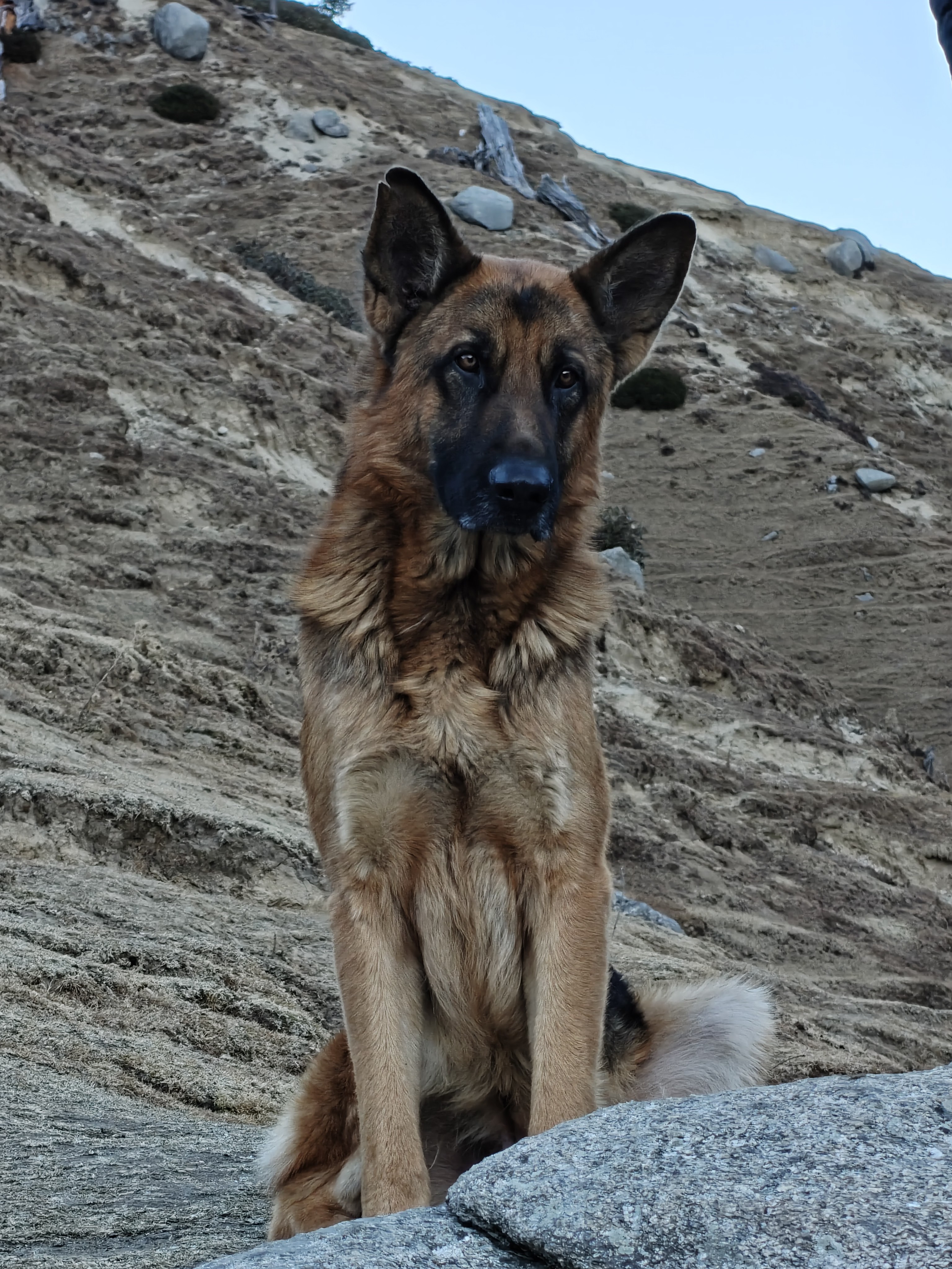 Kareri Lake Trek: A Himalayan Escape into SerenityI embarked