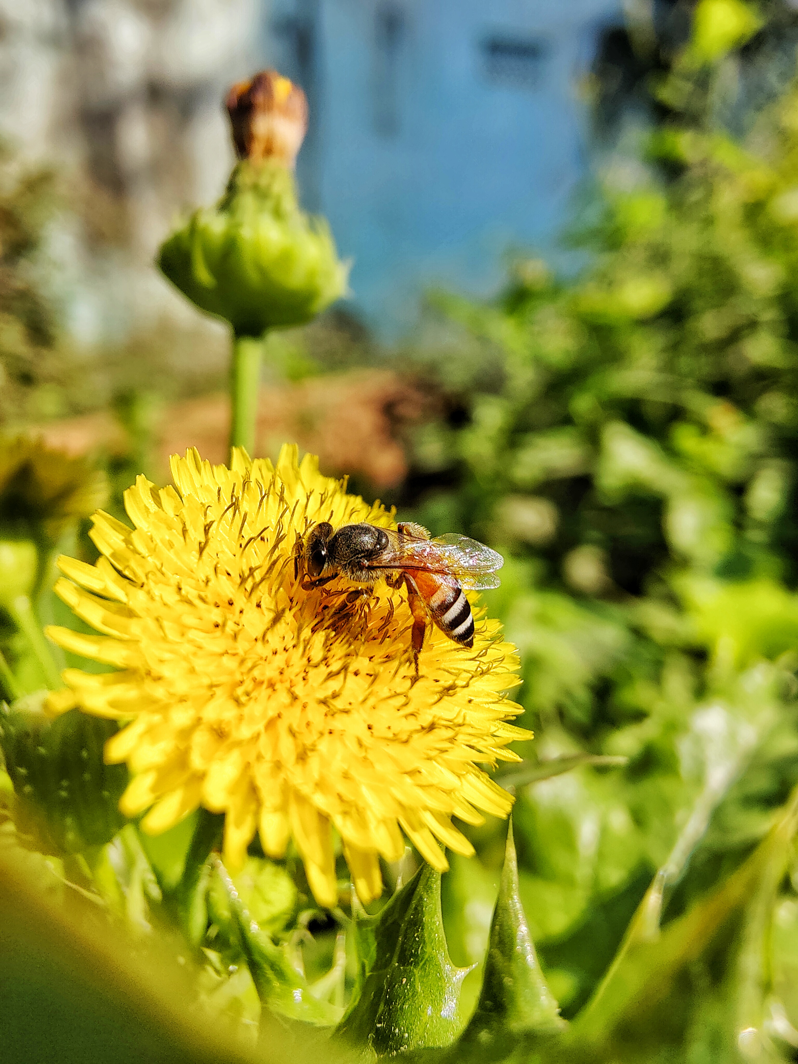 Nature never misses. I’m obsessed with how the macro lens pi