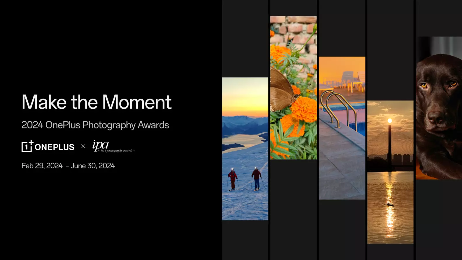 2024 OnePlus Photography Awards | Your lens, your story!