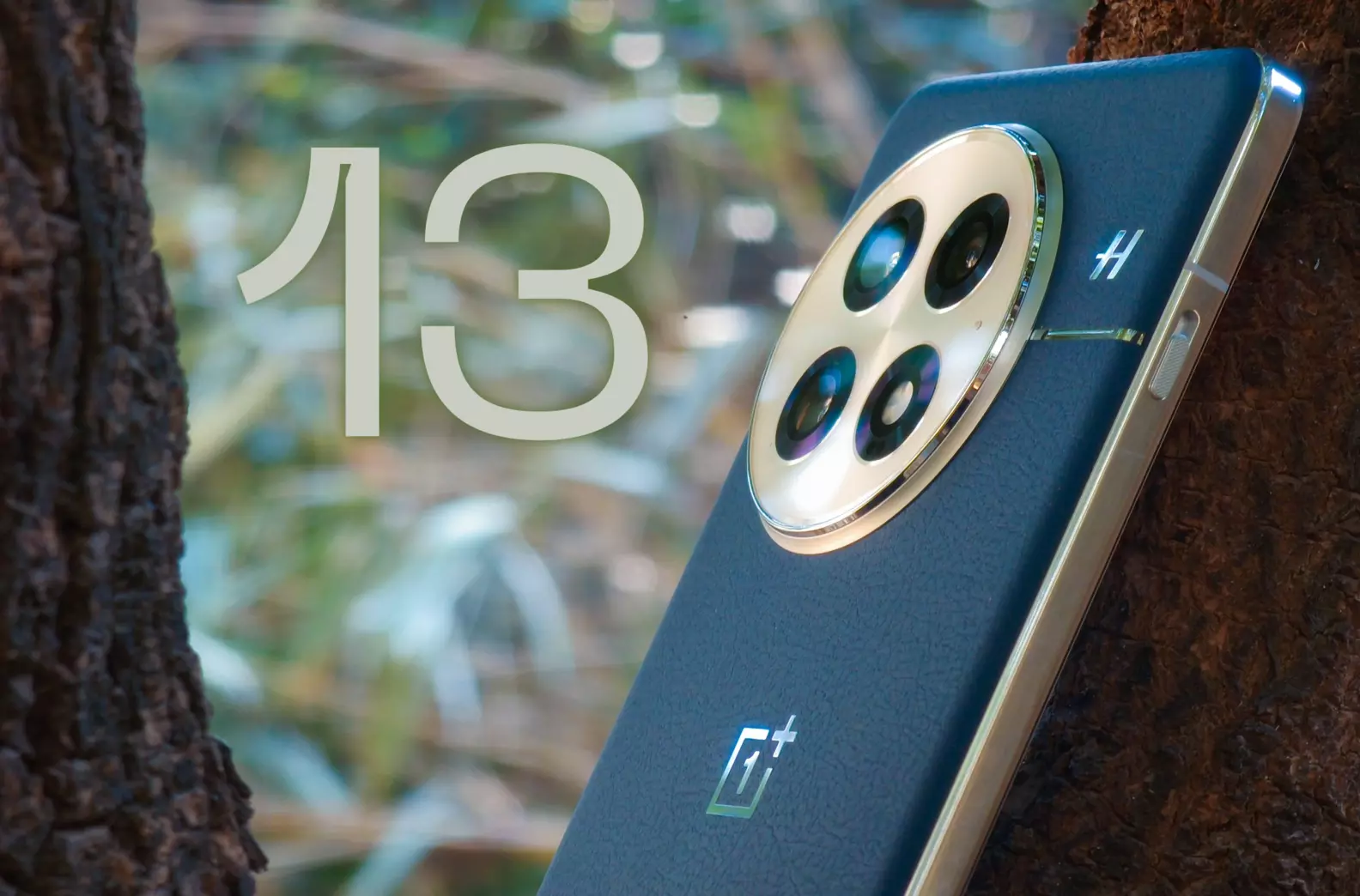 [The Lab] OnePlus 13 Full Review: Flagship Killer? More Like A True ...