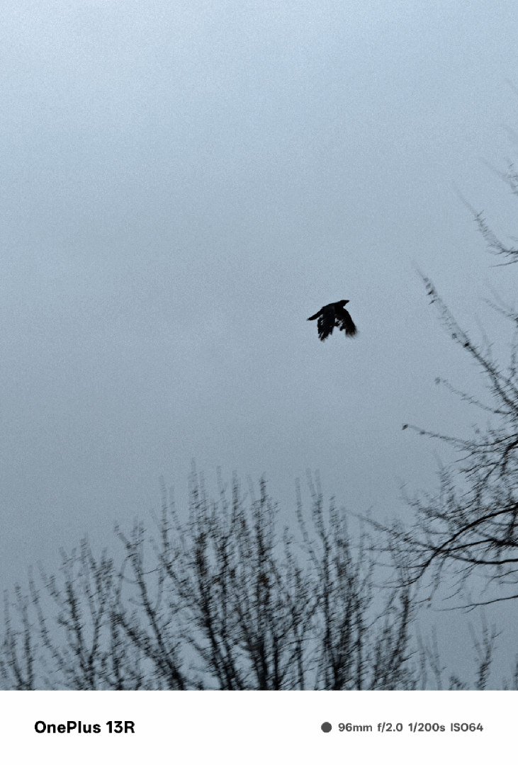 [The Lab] OnePlus 13R Full Review - Big Value in a Small Budget