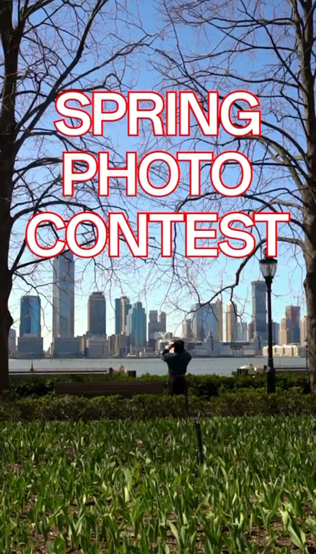 Spring Photo Contest: Spring in Focus 🌻