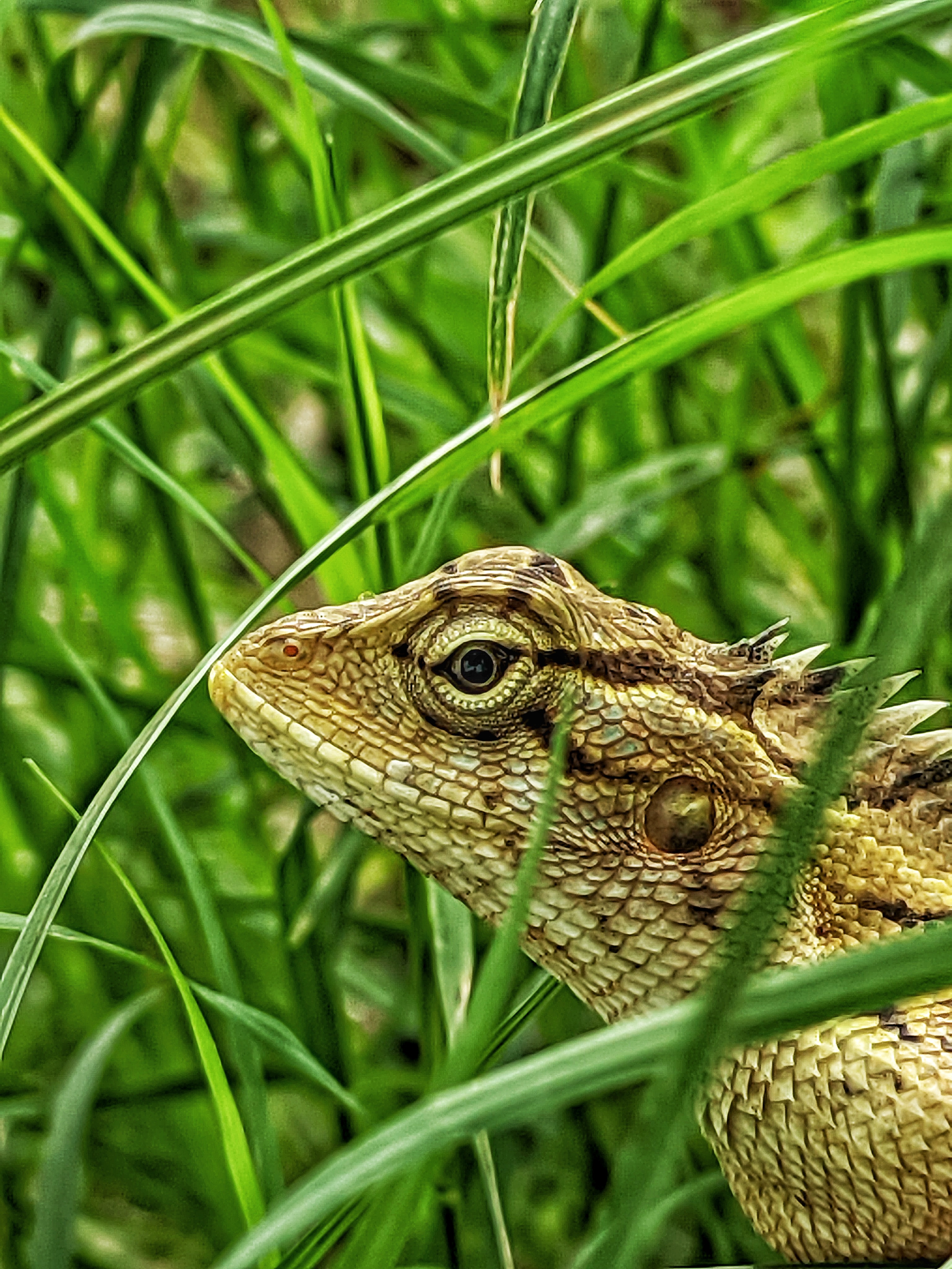 (Winners Announced) Shot on OnePlus November 2025 | Frames